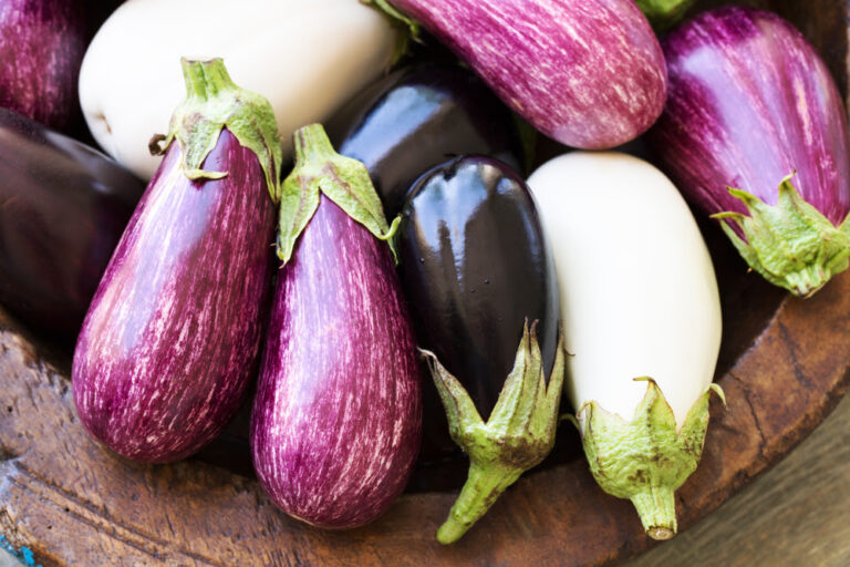 Demystifying Eggplant – Gardening With Aladay Mobile Media